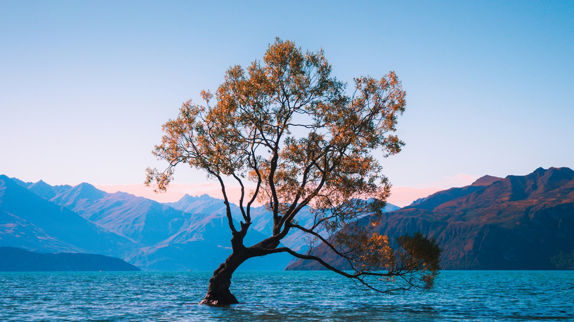 Breath Awareness Meditation | Kent WEPP