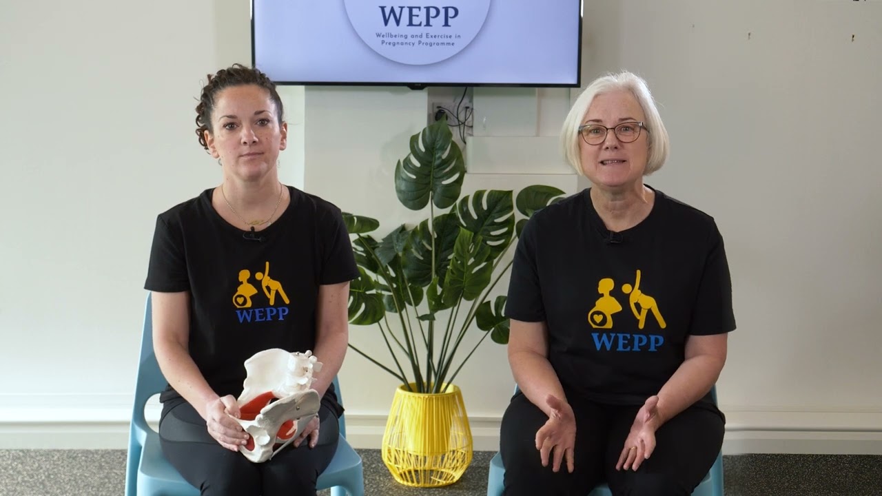 Pelvic Girdle Pain (PGP) | Sussex WEPP